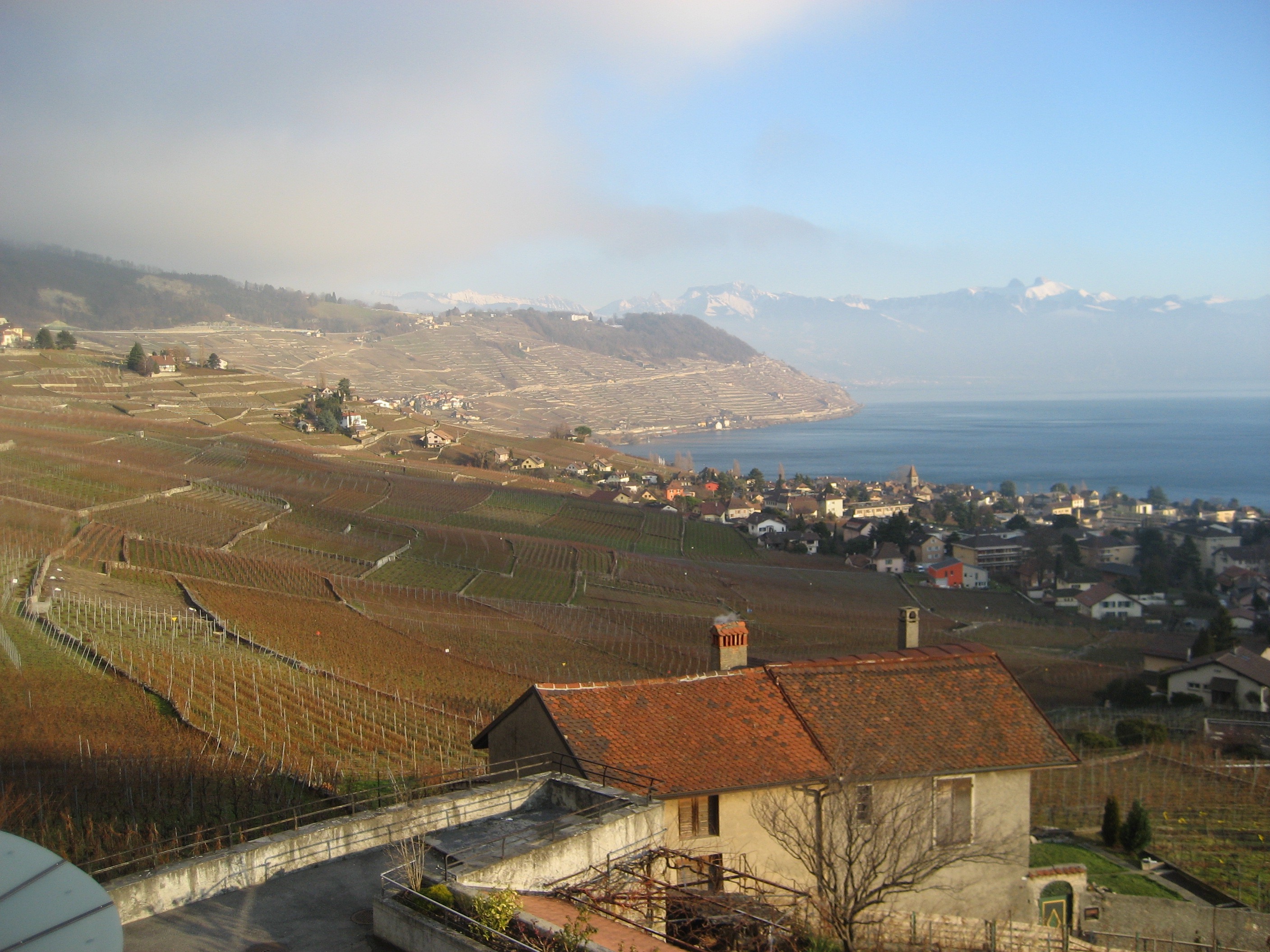 IMG_1402 – Complex Loss