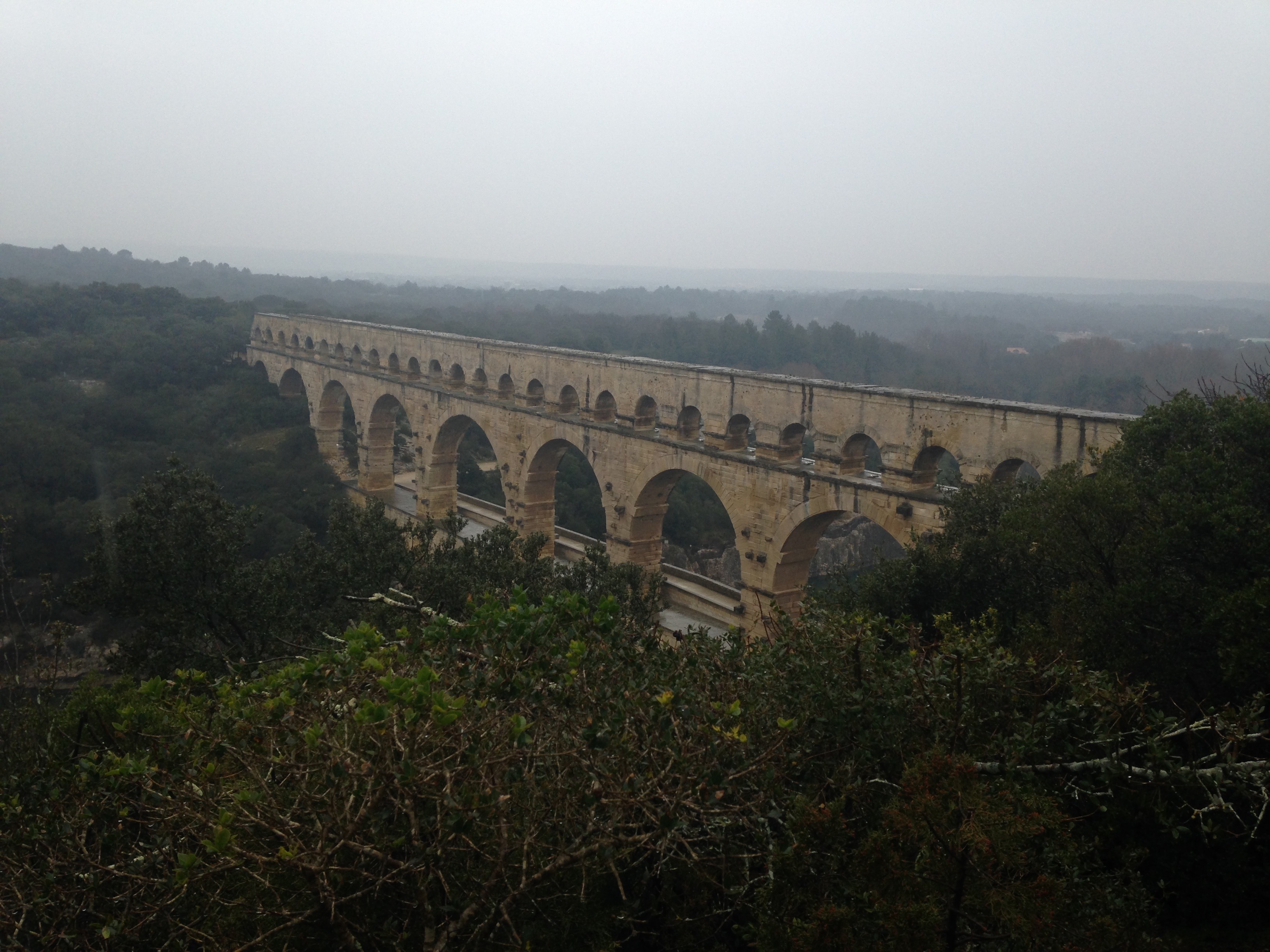 IMG_1976 – Complex Loss