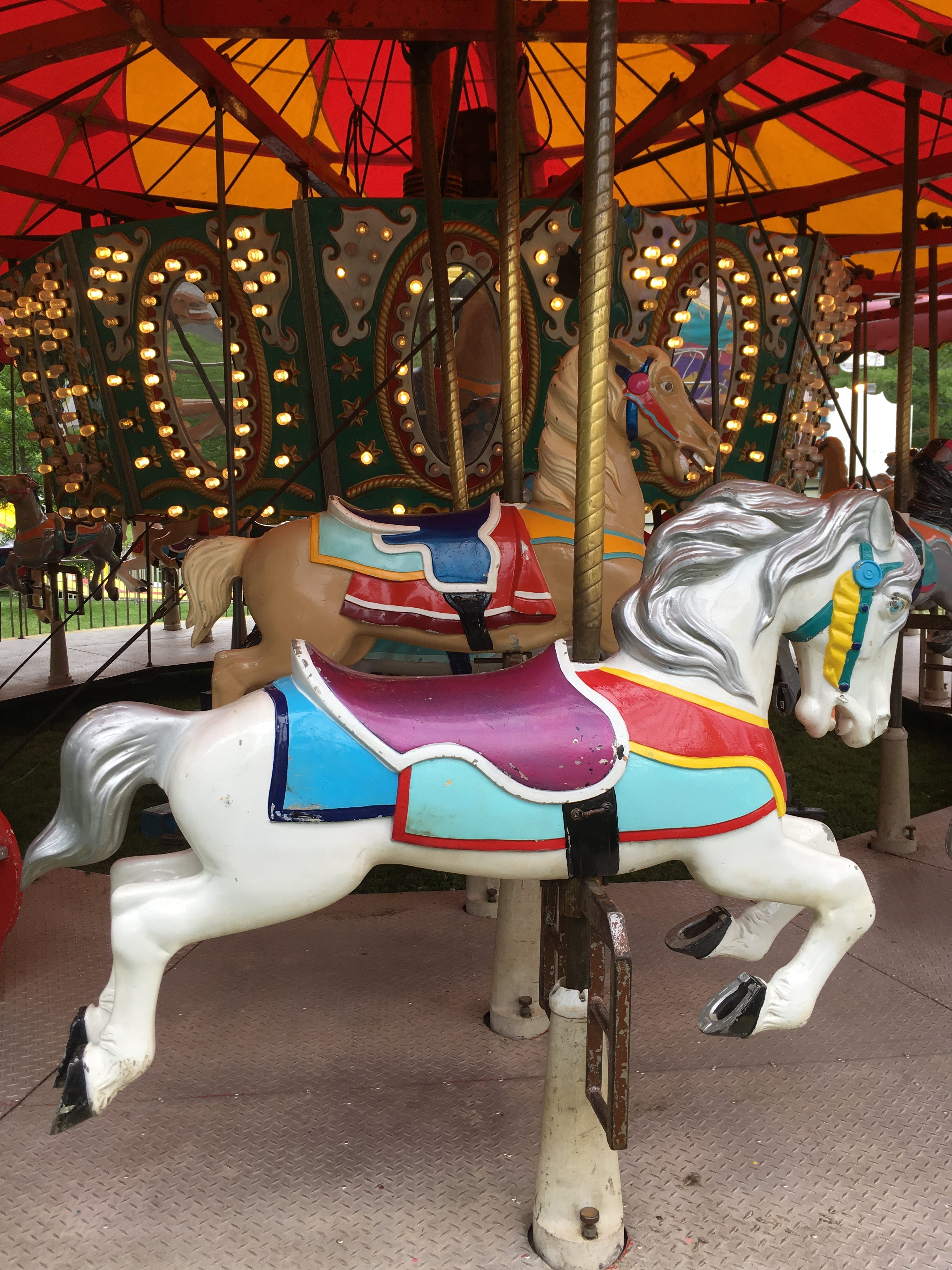 IMG_2007 – Complex Loss