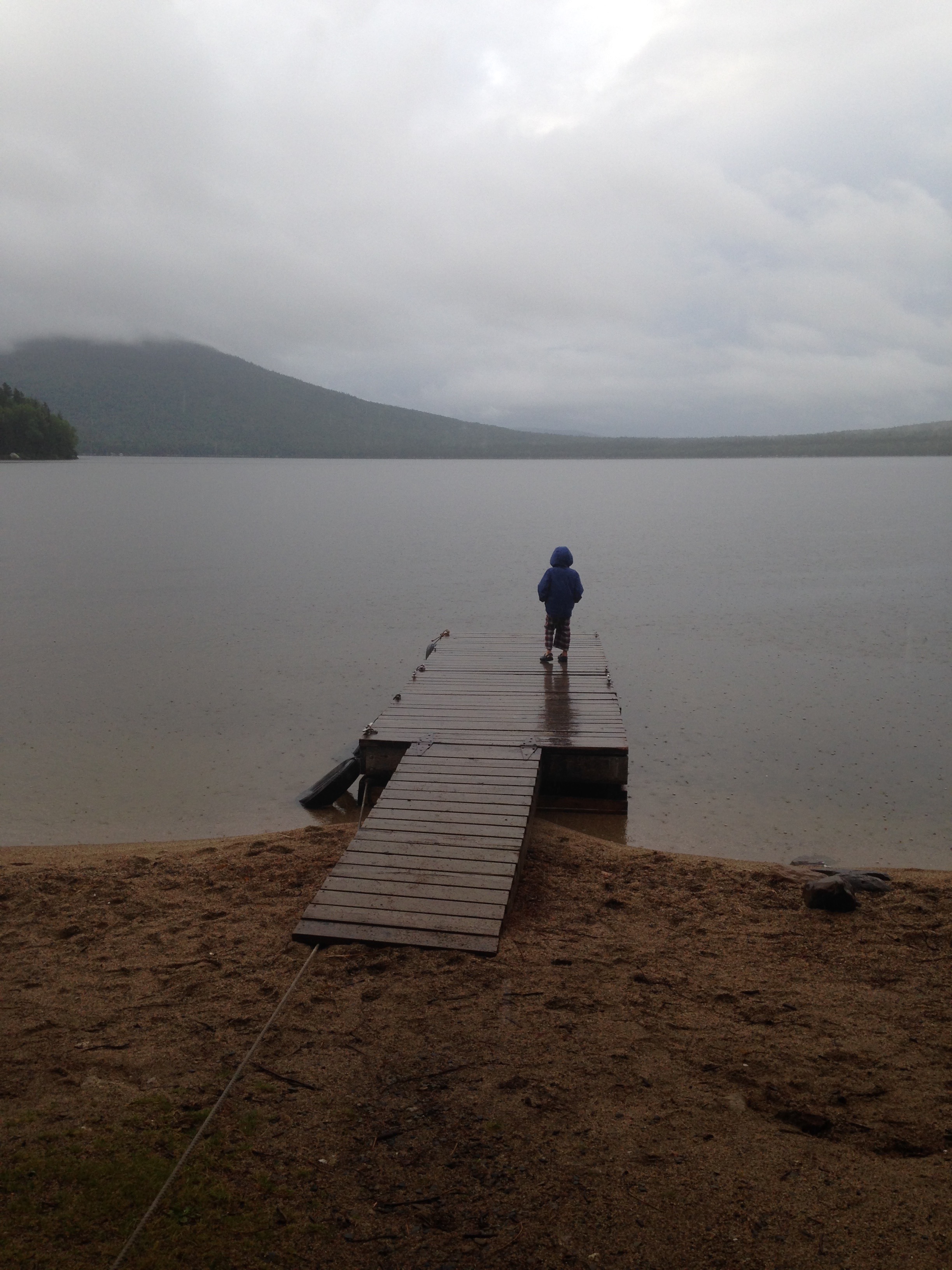 IMG_2689 – Complex Loss